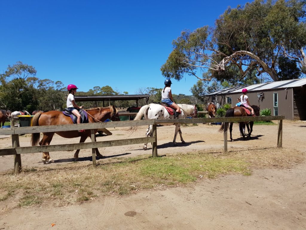 Pony Rides (Approx. 30 mins) - Otford Farm